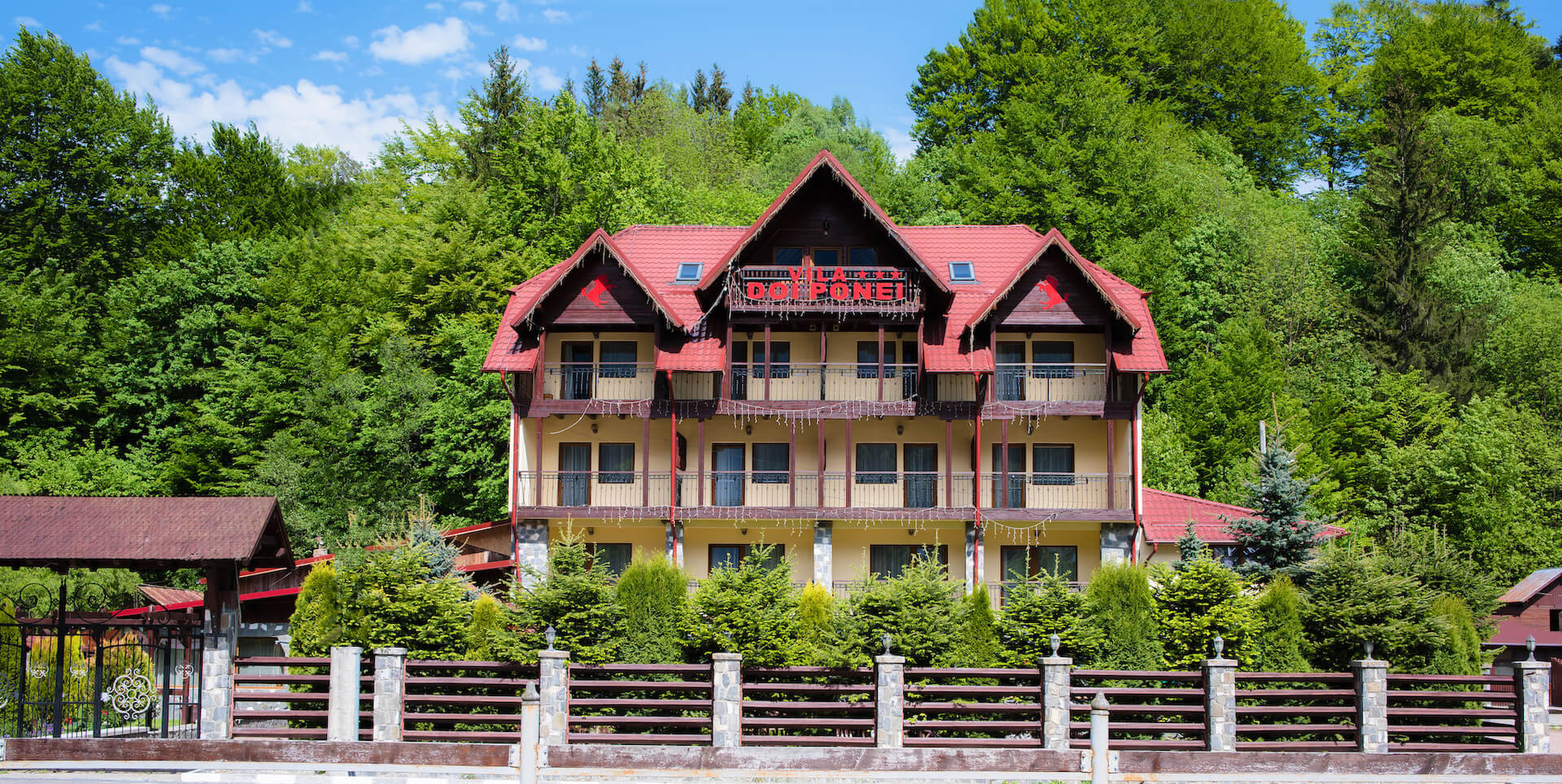 Despre Noi | Vila Doi Ponei Busteni